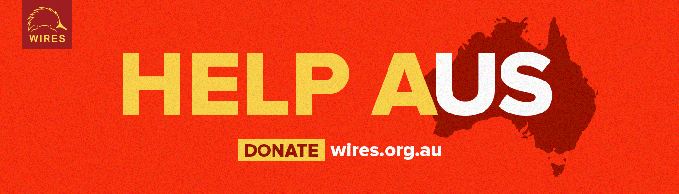 Help AUS - OOH TODAY